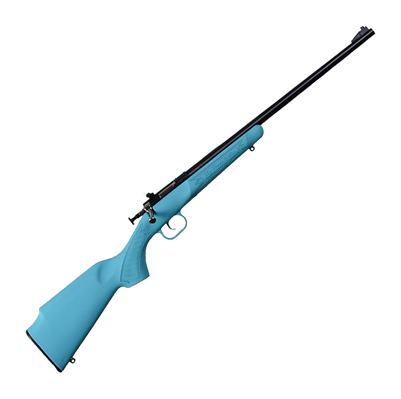 Keystone Sporting Arms Crickett Single-Shot Rimfire Rifle with ...